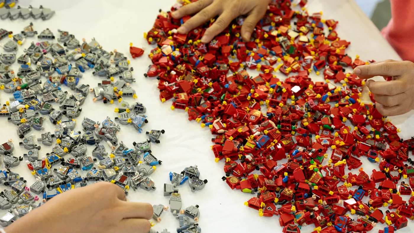 The Rise of Adult Fans of LEGO (AFOL): The Growing Popularity of LEGO Among Adults - DD Bricks